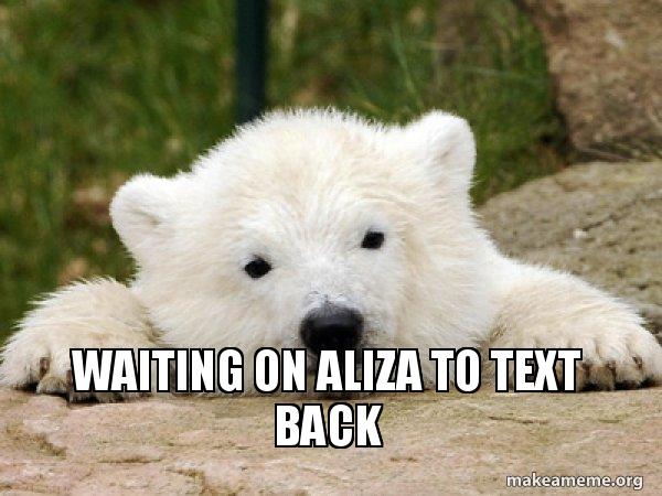 Aliza Memes Consent/Dissent: A Talk By Aliza Shvarts And Emma