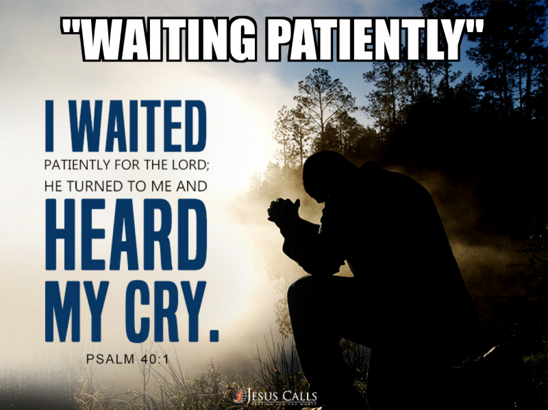 "waiting patiently" Meme Generator