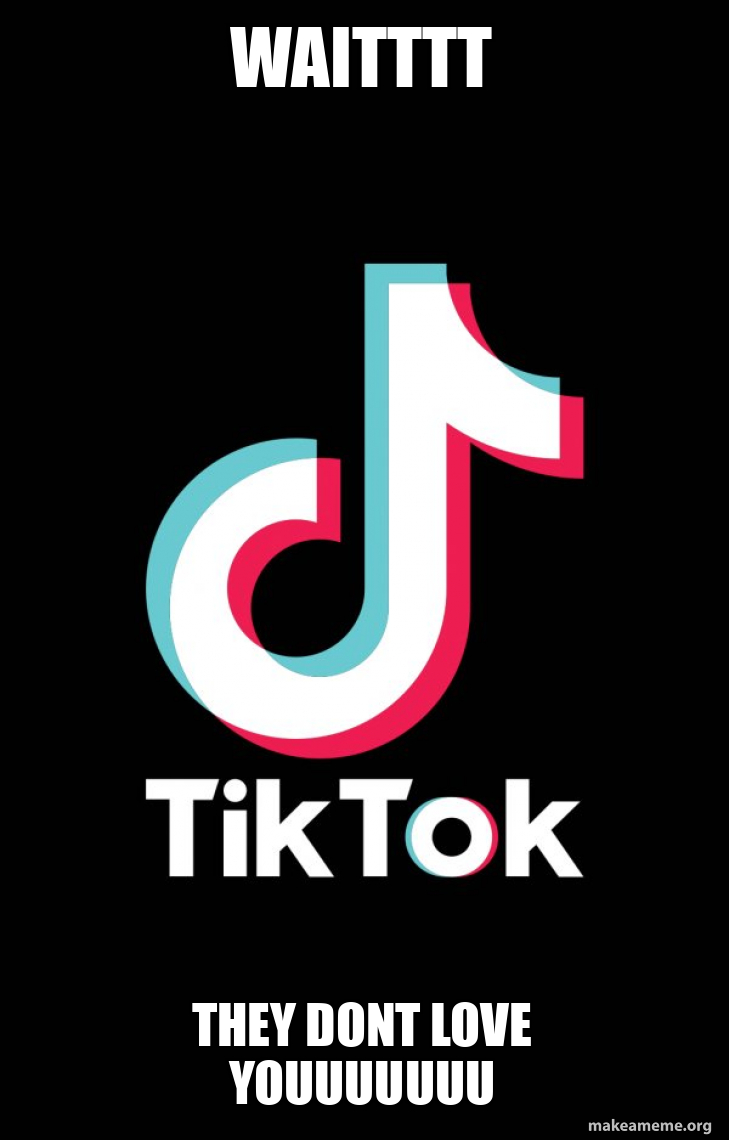 WAITTTT THEY DONT LOVE YOUUUUUUU - TikTok Meme Generator