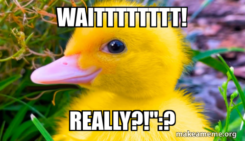 wAITTTTTTTT! Really?!":? Meme Generator
