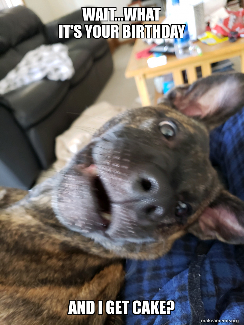 WAIT...What It's your birthday And I get cake? Meme Generator