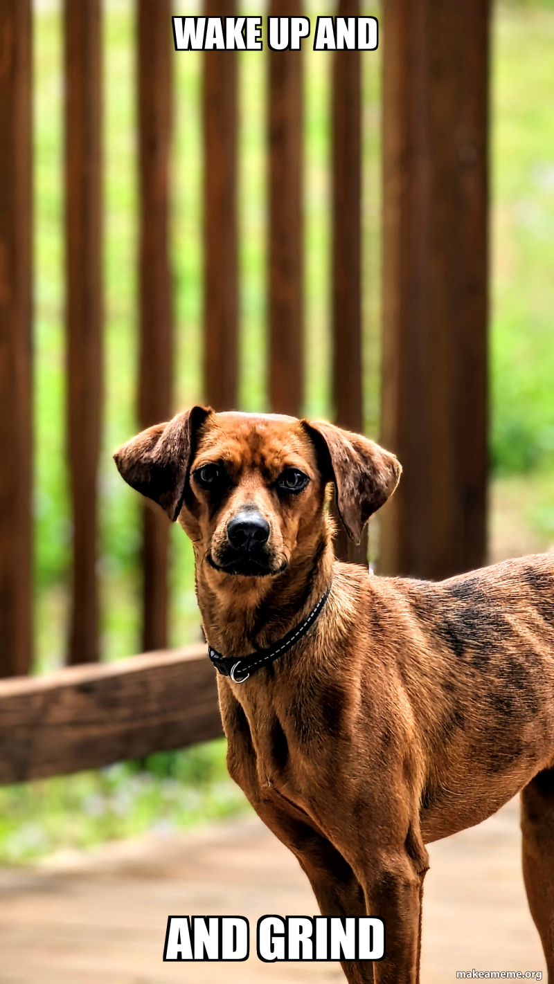 Wake up and And grind Meme Generator