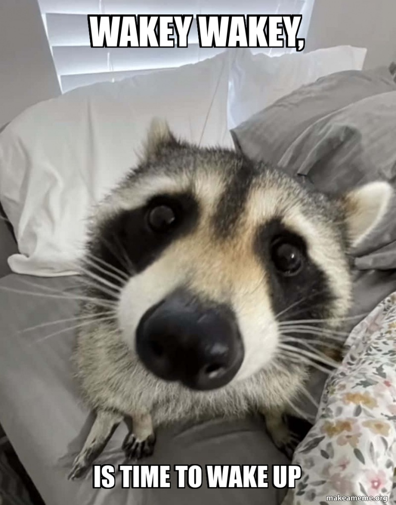 wakey wakey, is time to wake up Meme Generator