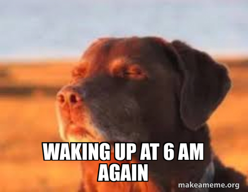 waking up at 6 am again Meme Generator