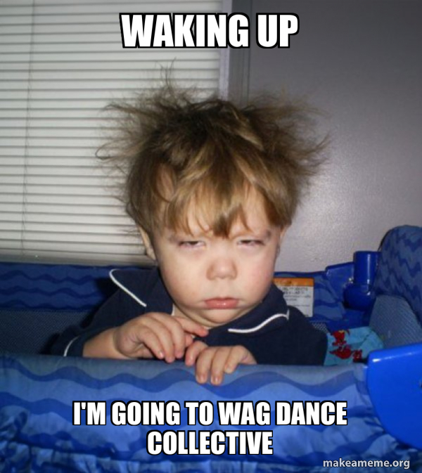 Waking Up I'm going to wag dance collective - Monday Mornings Meme ...