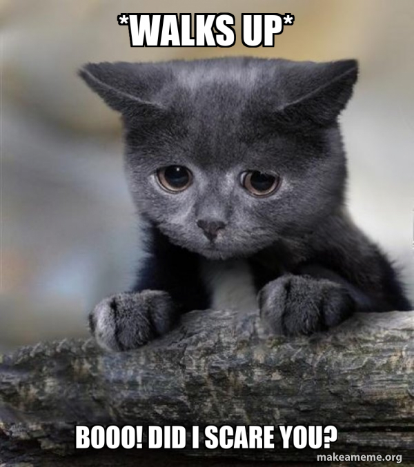 *Walks up* BOOO! did i scare you? - Confession Cat Meme Generator