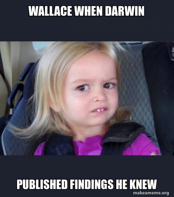 Wallace when Darwin published findings he knew - Side-Eyes Chloe Meme ...