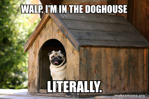 walp. I'm in the doghouse literally. - I guess then im a dog... Meme ...