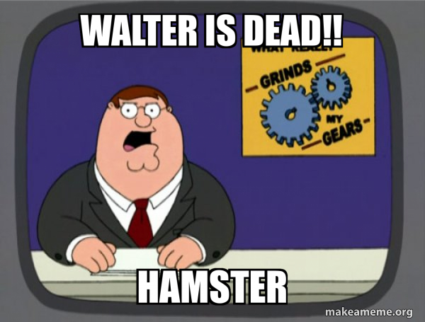 Walter is dead!! hamster - What Grinds My Gears (Family Guy) Meme Generator