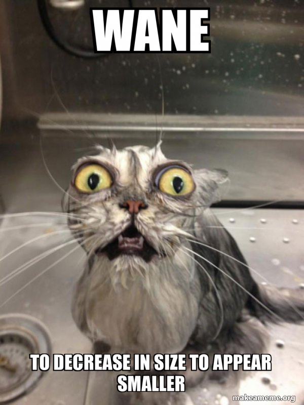 Wane To decrease in size to appear smaller - Cat bath Meme Generator
