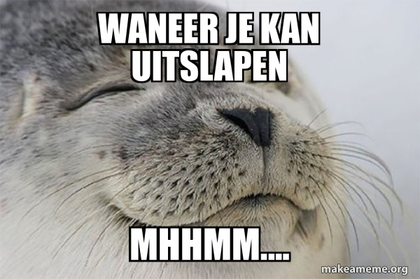 waneer je kan uitslapen mhhmm.... - Satisfied Seal Meme Generator