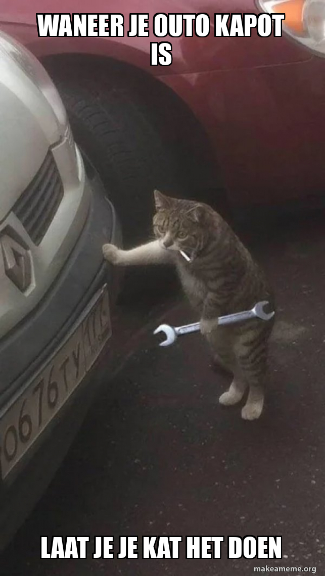Waneer je outo kapot is Laat je je kat het doen - Mechanic Cat Meme ...