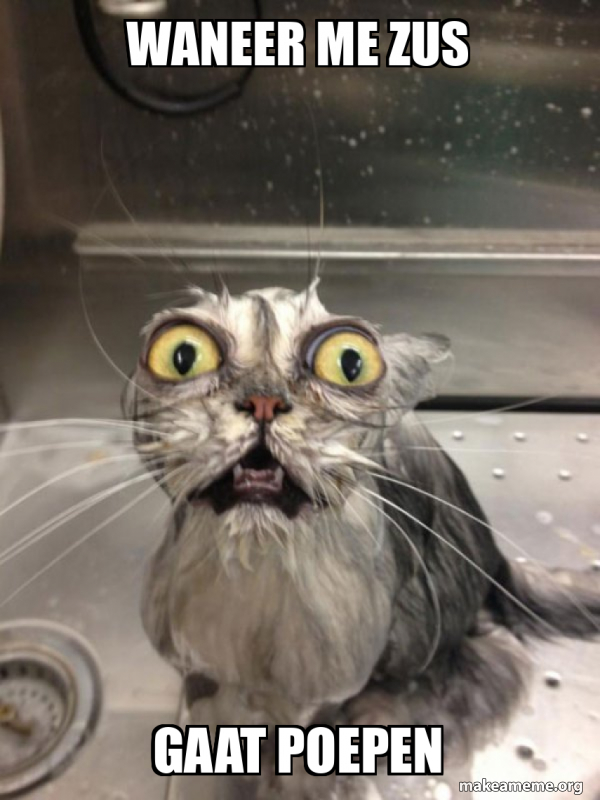 Waneer me zus Gaat poepen - Cat bath Meme Generator