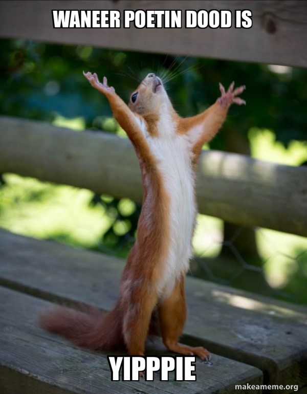 Waneer poetin dood is Yipppie - Happy Squirrel Meme Generator