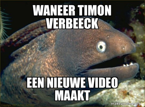 waneer timon verbeeck een nieuwe video maakt - Bad Joke Eel Meme Generator