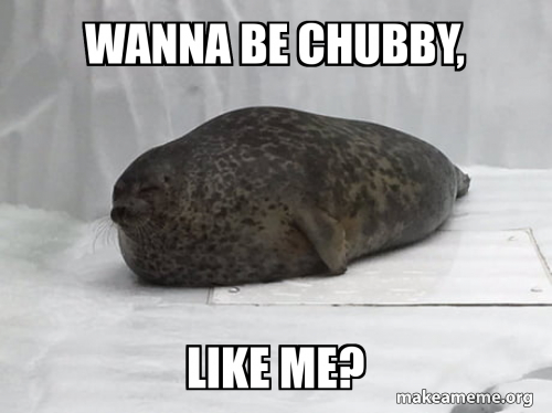 Wanna Be chubby, Like me? Meme Generator