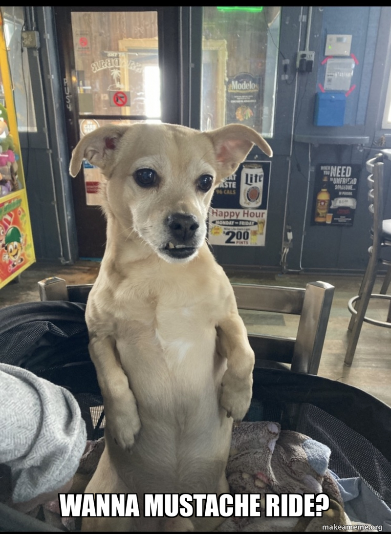 Wanna mustache ride? Meme Generator