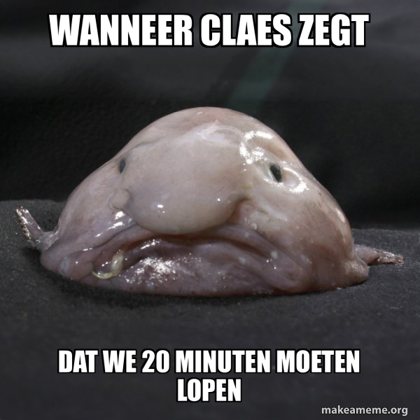 wanneer Claes zegt dat we 20 minuten moeten lopen - Blobfish Meme Generator