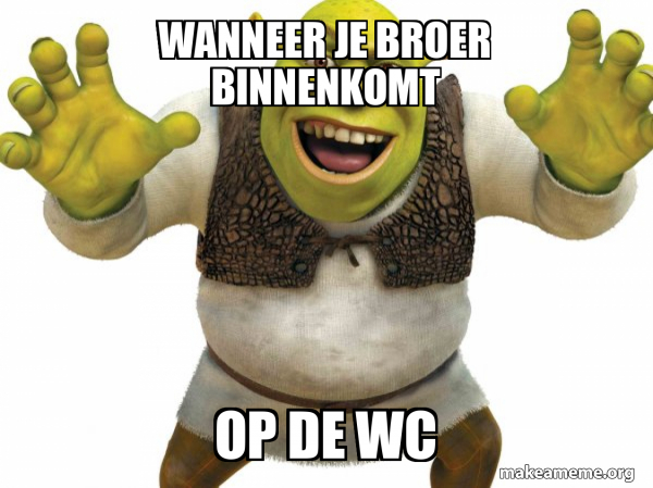 Wanneer je broer binnenkomt Op de wc - Shrek Meme Generator