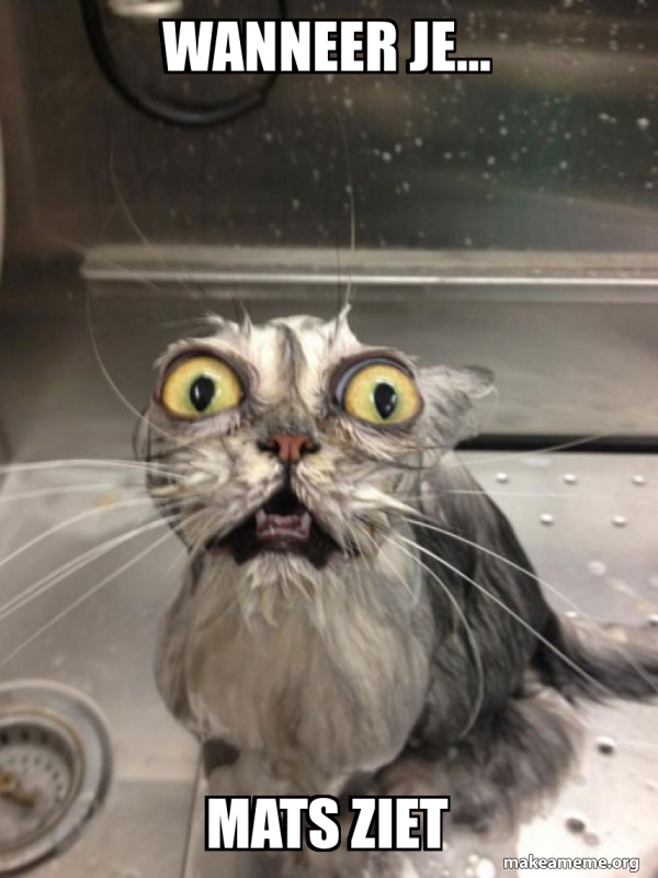 wanneer je... mats ziet - Cat bath Meme Generator