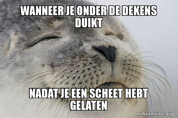 Wanneer je onder de dekens duikt nadat je een scheet hebt gelaten ...