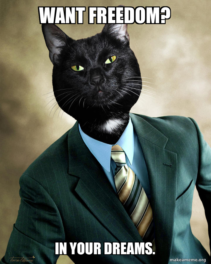 want freedom? in your dreams. Meme Generator