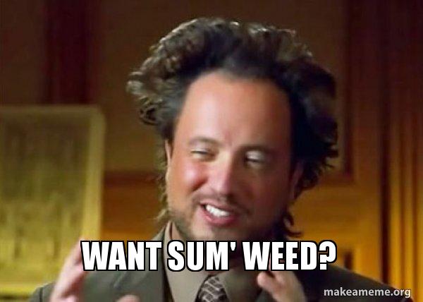 Want sum' weed? - Ancient Aliens - Crazy History Channel Guy Meme Generator