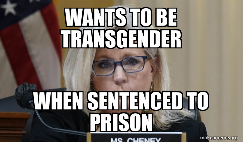 Wants to be TRANSGENDER When sentenced to prison Meme Generator