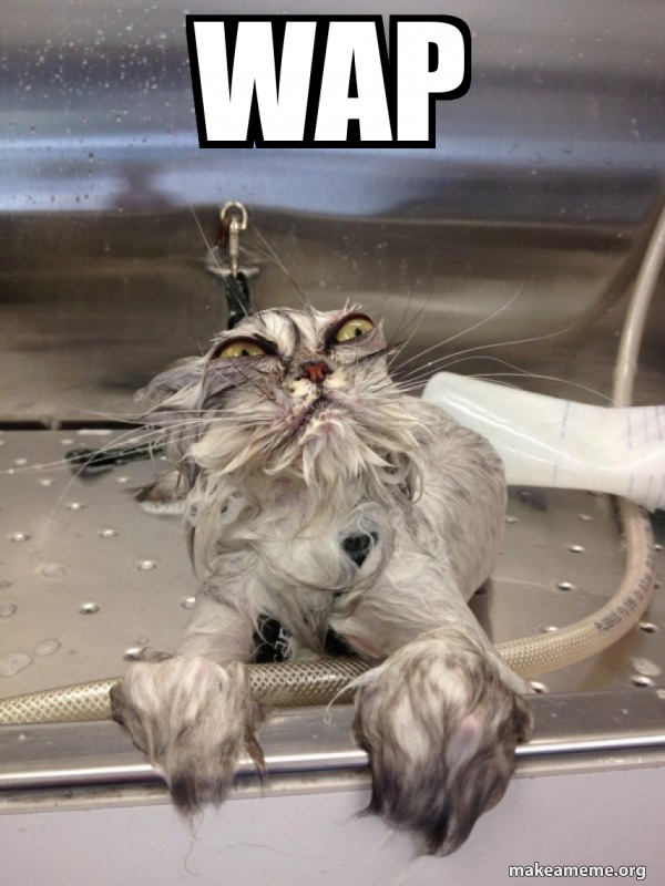 Wap - Cat Bath Returns Meme Generator