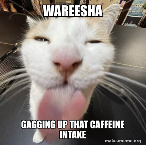wareesha gagging up that caffeine intake Meme Generator