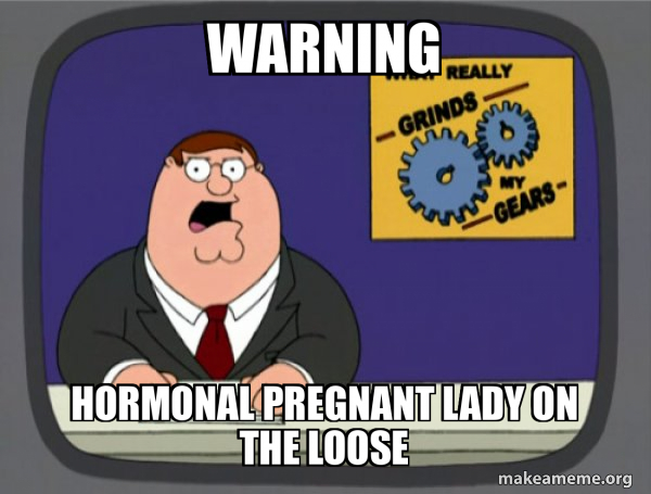 WARNING hormonal pregnant lady on the loose - What Grinds My Gears ...