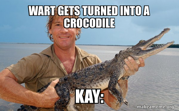 Wart gets turned into a crocodile Kay: - Steve irwin Meme Generator