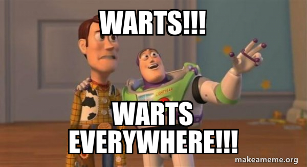 Warts!!! Warts EVERYWHERE!!! - Buzz and Woody (Toy Story) Meme Meme ...
