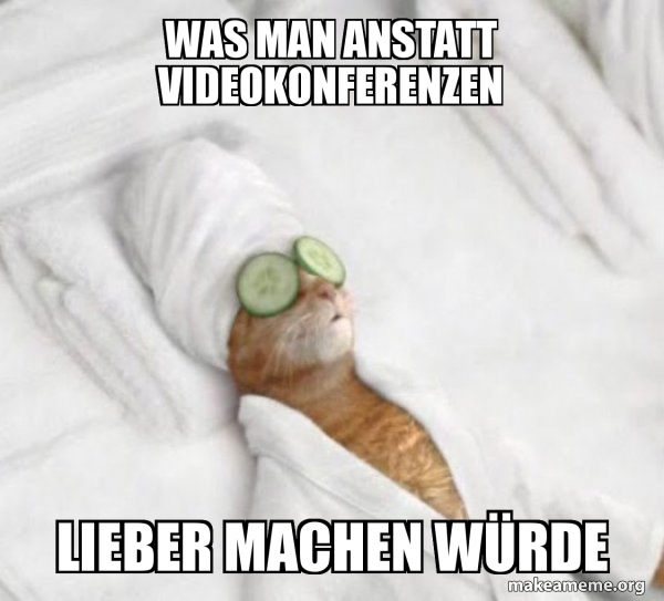 Was man anstatt Videokonferenzen lieber machen wÃ¼rde - Pampered Cat ...