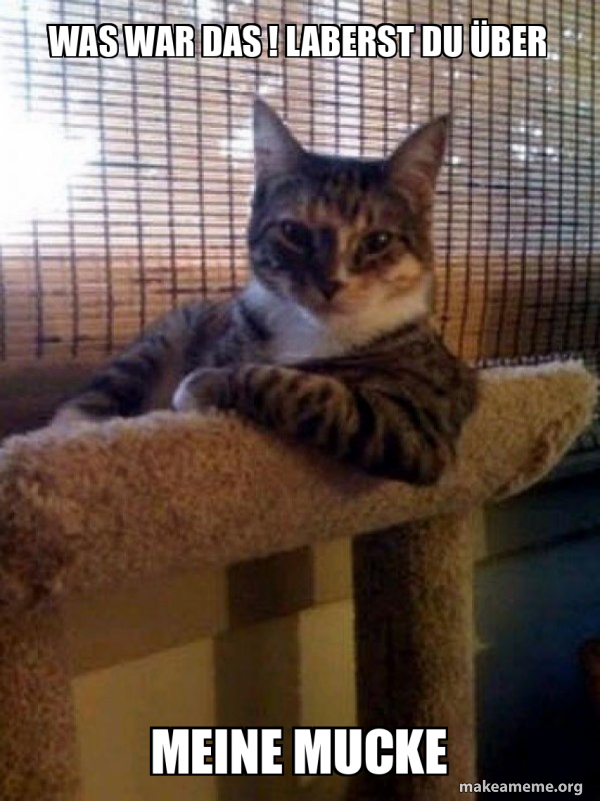 Was war das ! laberst du über MEINE MUCKE - The Most Interesting Cat in ...