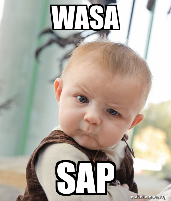 wasa sap - Skeptical Baby Meme Generator