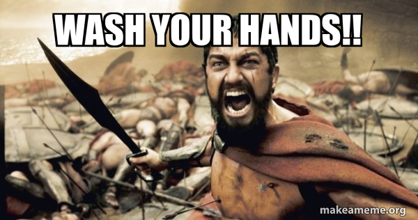 WASH YOUR HANDS!! - The 300 Meme Generator