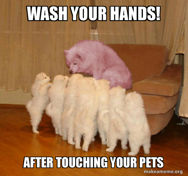 Wash your hands! after touching your pets - Malicious Storytelling Dog ...