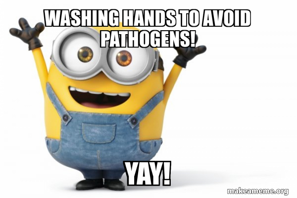 Washing Hands to Avoid Pathogens! YAY! - Happy Minion Meme Generator