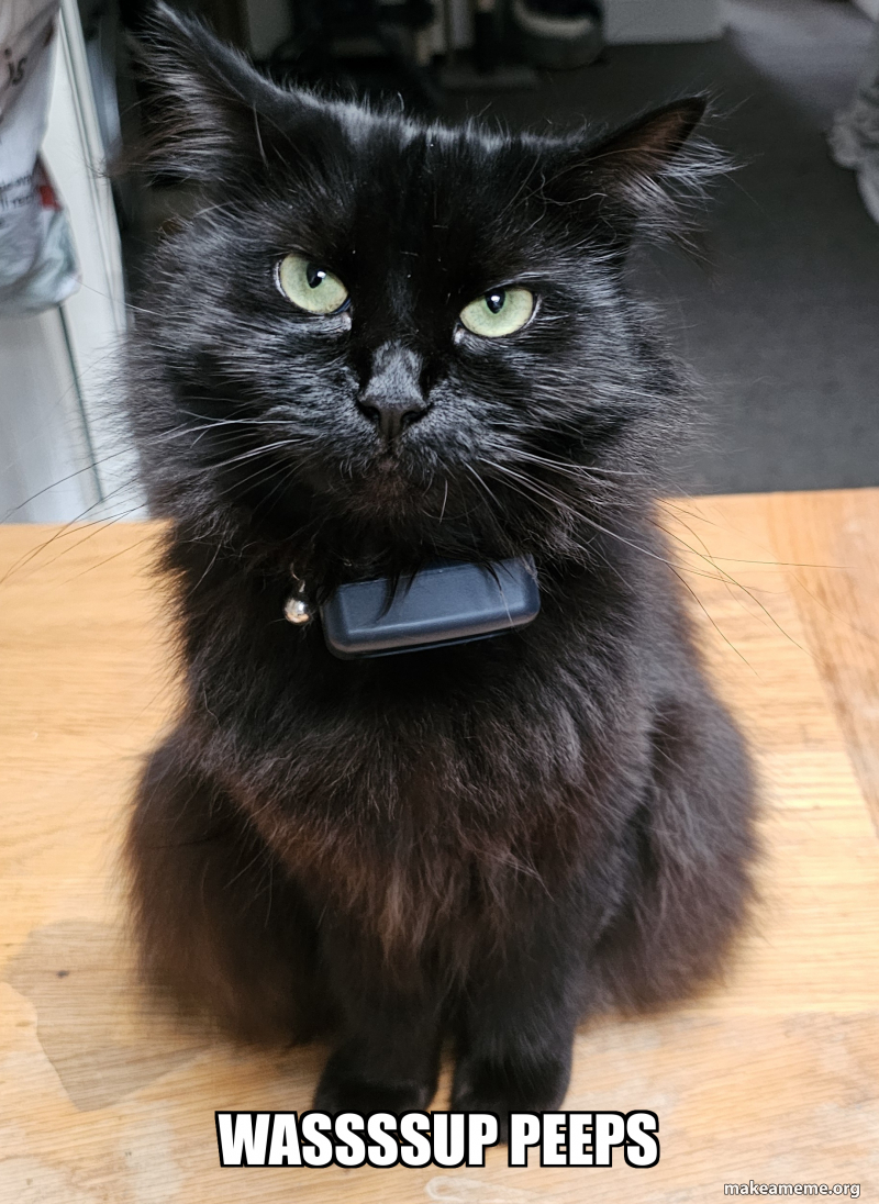 Wassssup peeps Meme Generator