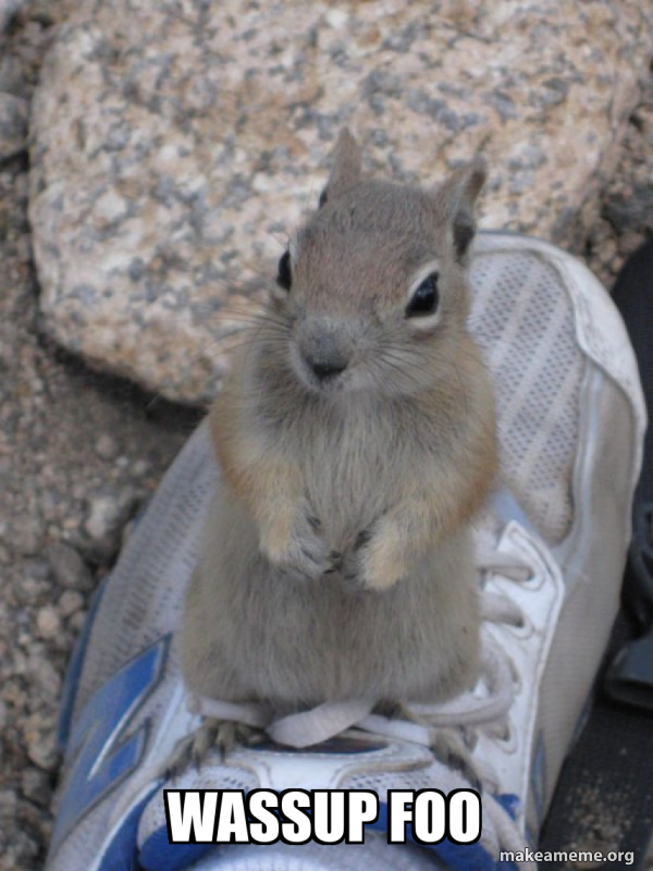 wassup foo - Standover Squirrel Meme Generator