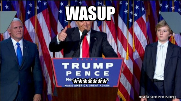 wasup ******* - President Elect Trump Meme Generator