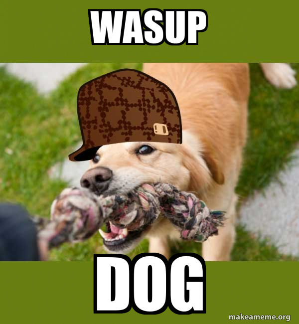 wasup dog - Scumbag dog Meme Generator