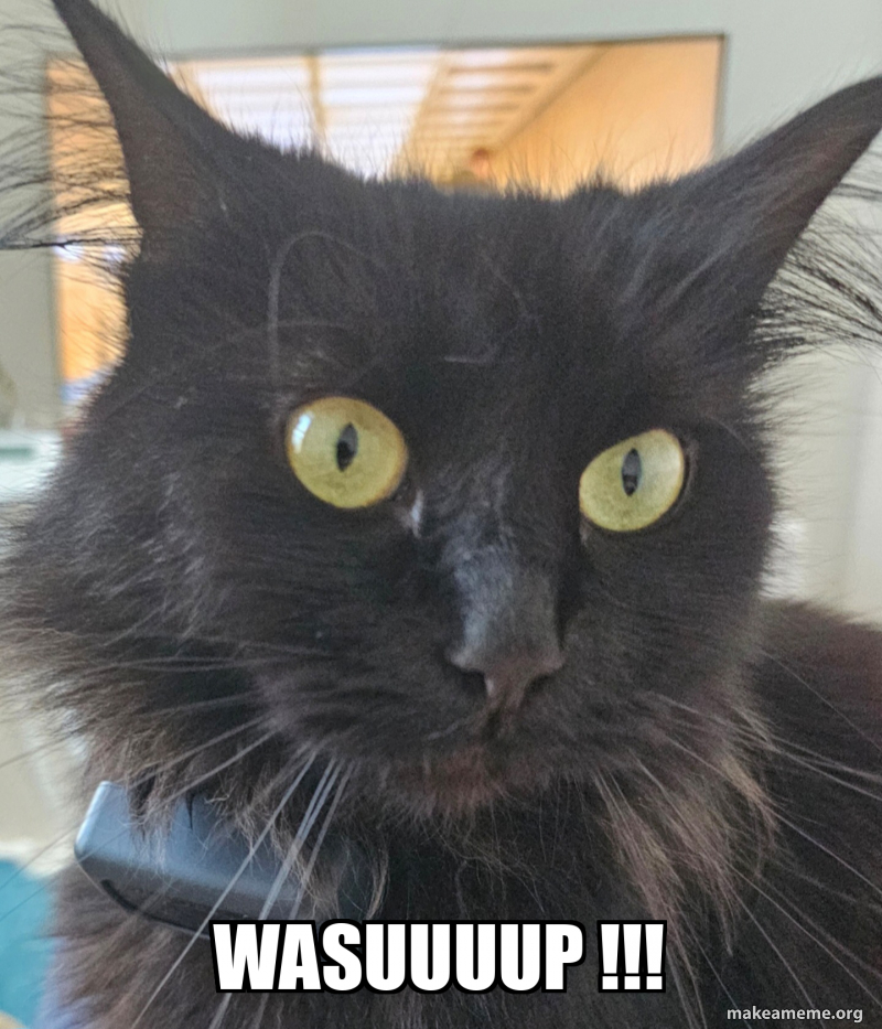 Wasuuuup !!! Meme Generator