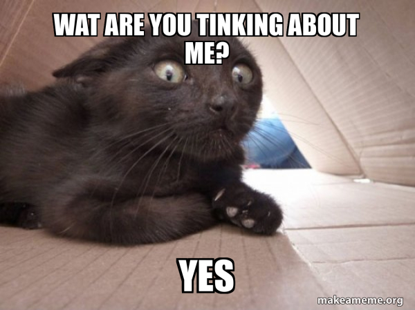 wat are you tinking about me? yes - Schitzo Cat Meme Generator