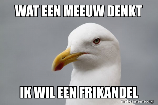wat een meeuw denkt ik wil een frikandel - Stuff That Didn't Happen ...
