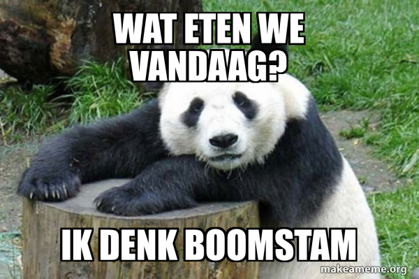 wat eten we vandaag? ik denk boomstam - Confession Panda Meme Generator