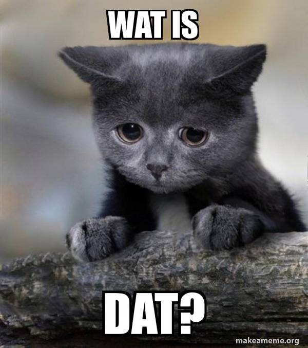 wat is dat? - Confession Cat Meme Generator