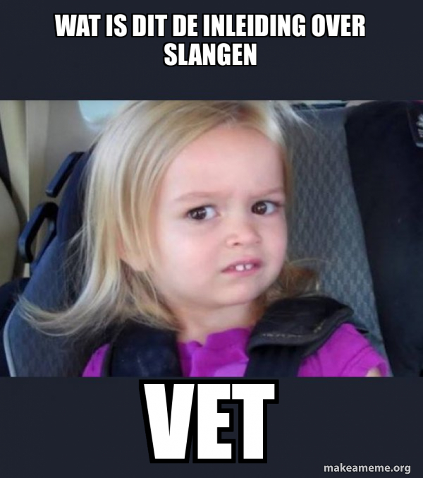 wat is dit de inleiding over slangen vet - Side-Eyes Chloe Meme Generator