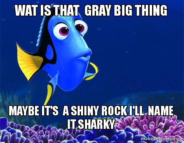 Sharky Memes